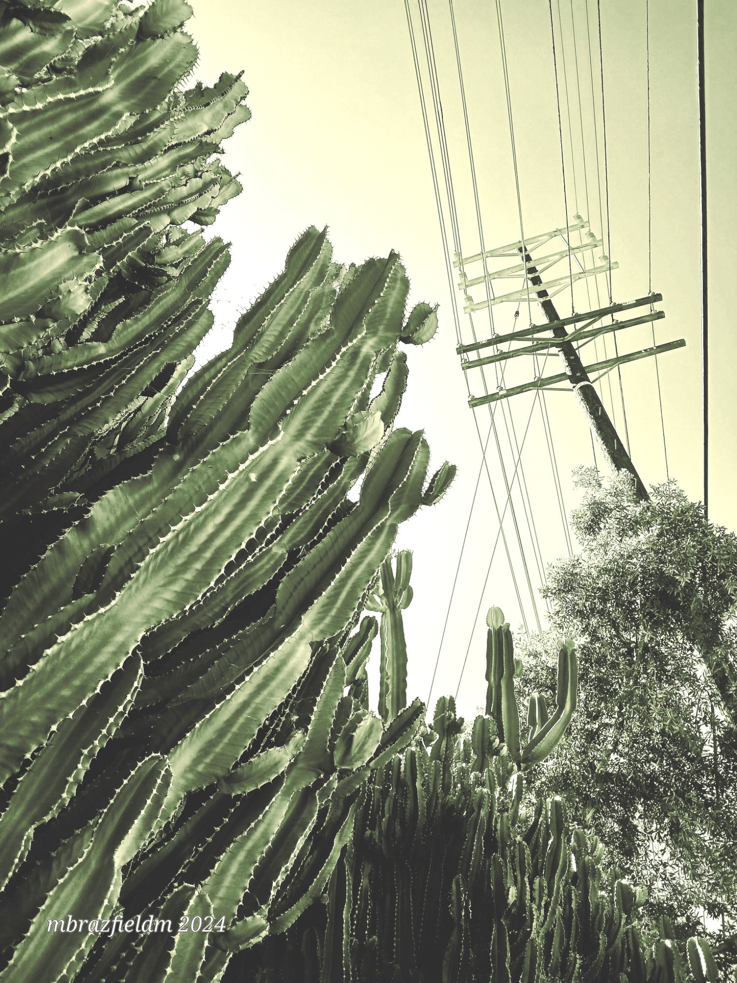 outnumbered | words less spoken